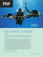 Risk Assessment for snake bite | PDF | Snake | Risk Assessment