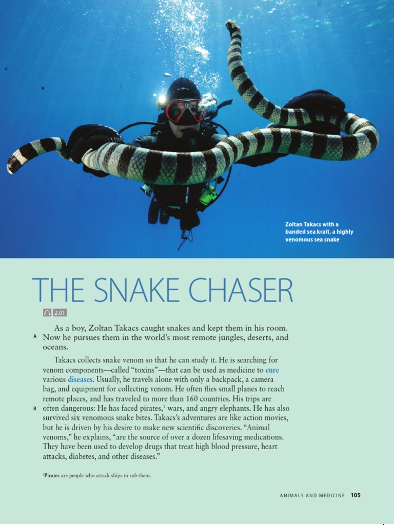 The Snake Chaser | PDF | Venom | Snake