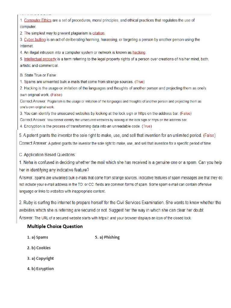 Cyber Safety Ques Ans | PDF