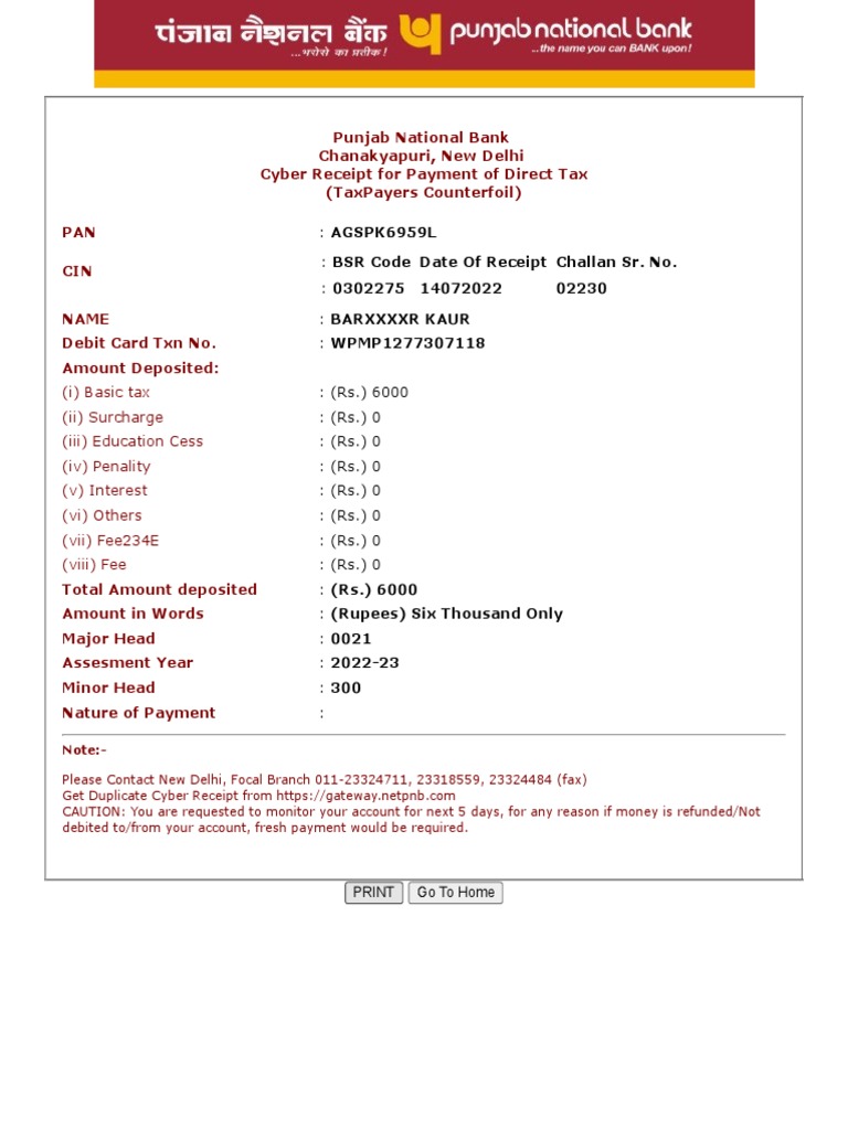 PNB - Print Cyber Receipt | PDF
