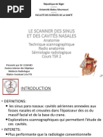 Variantes Anatomiques Des Sinus de La Face RD 2019 | PDF | Anatomie ...
