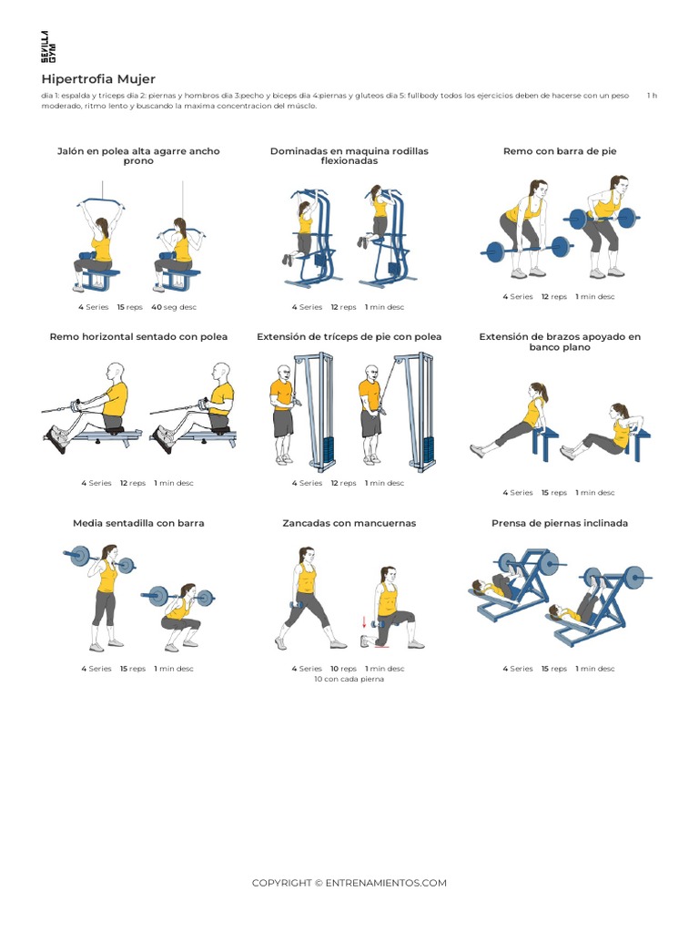 Hipertrofia Mujeres | PDF | Anatomía humana | Entrenamiento con pesas