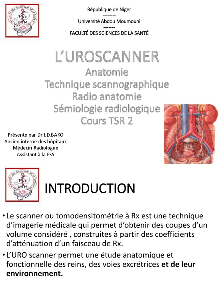 7 - Uroscanner - TSR2 | PDF | Tomodensitométrie | Radiologie