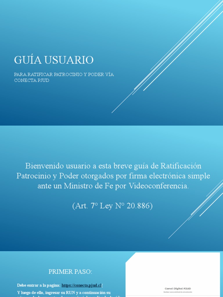 Guia Usuario Conecta PJUD | PDF