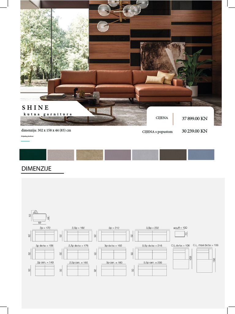 Shine | PDF