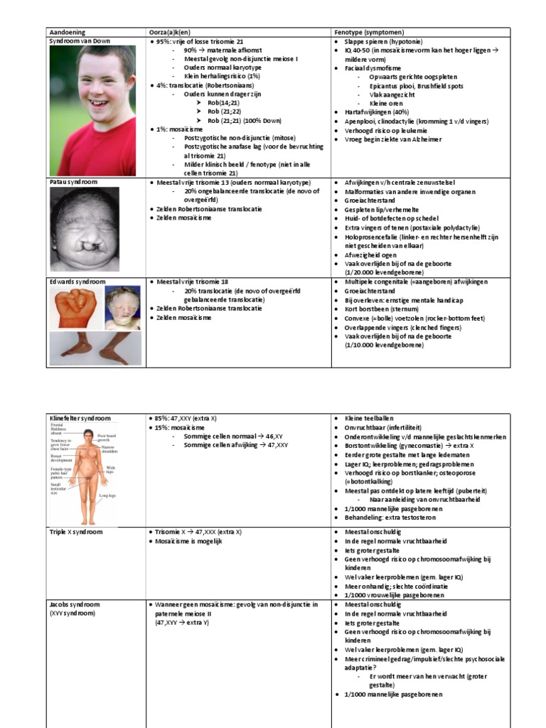 Erfelijkheidsleer Word | PDF