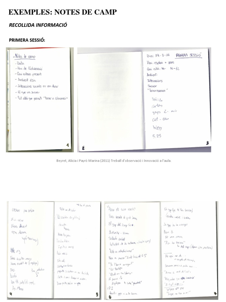 Exemple Notes de Camp - Tractament | PDF