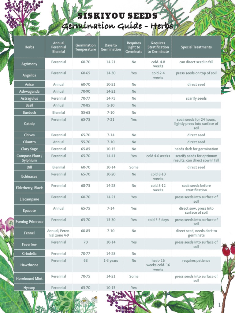 Germinating Chart Herbs | PDF | Sowing | Seed
