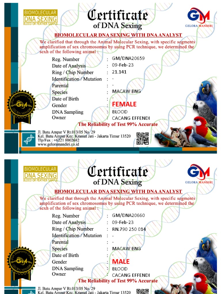 Report Result Bird Sexing MR LASKAR PARROT | PDF