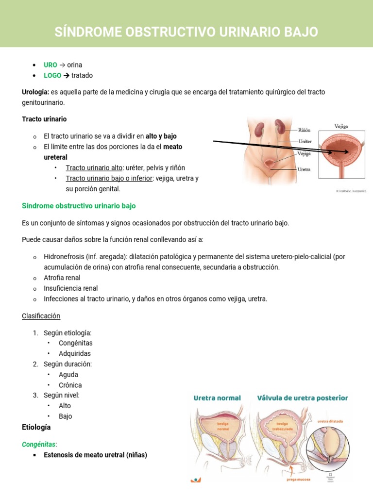 Síndrome Obstructivo Urinario Bajo | PDF