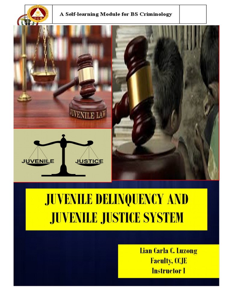 Juvenile Deliquency and Juvenile Justice System | PDF | Deviance ...