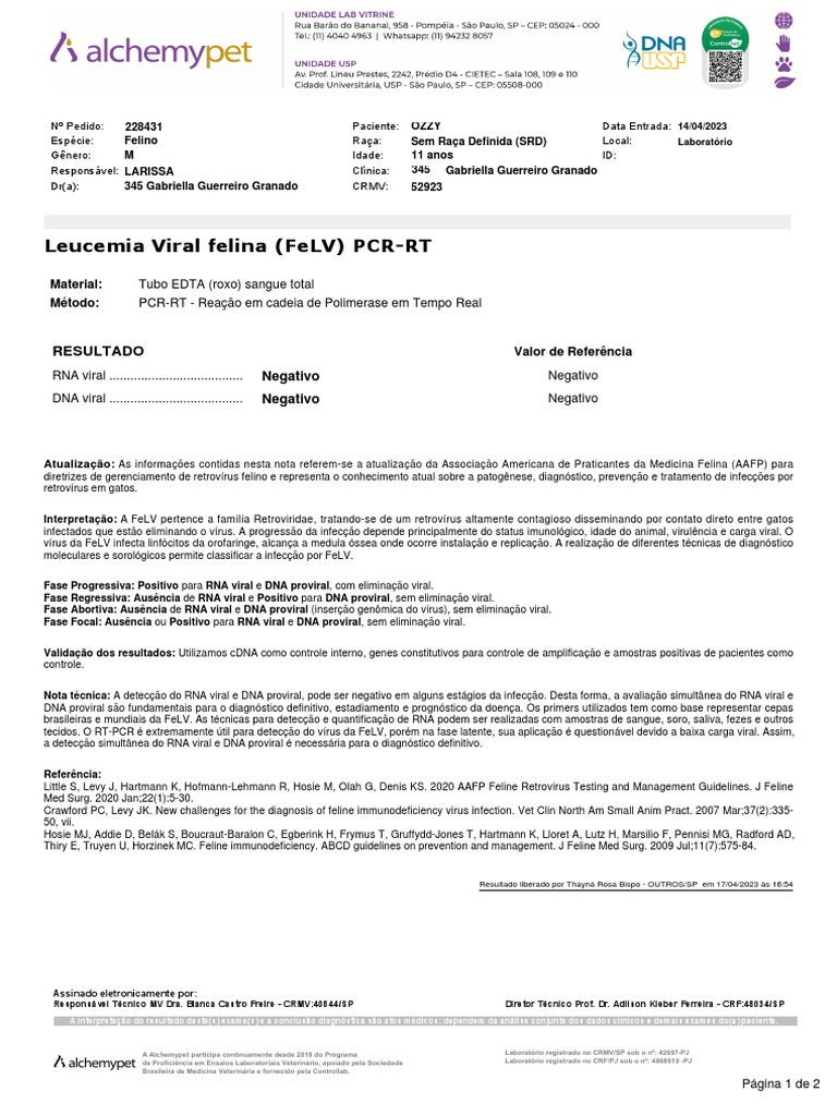 Leucemia Viral Felina (Felv) PCR-RT: Resultado | PDF