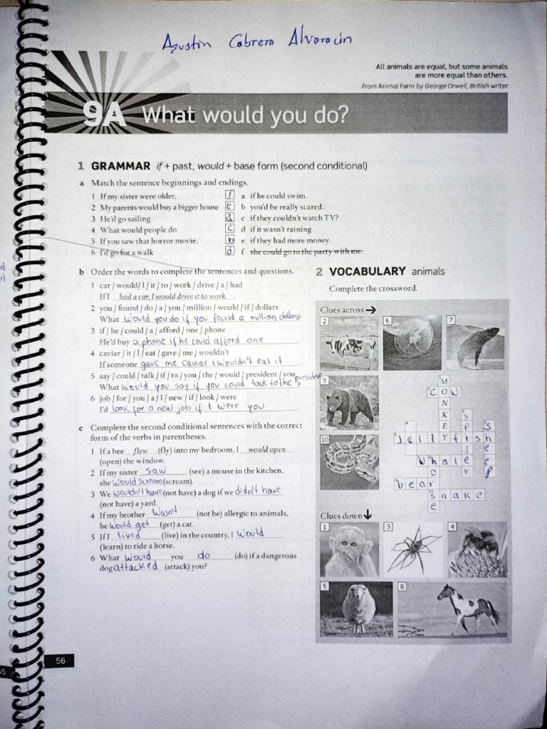 Homework Unit 9 Ando 10-Agustin Cabrera Alvaracin | PDF