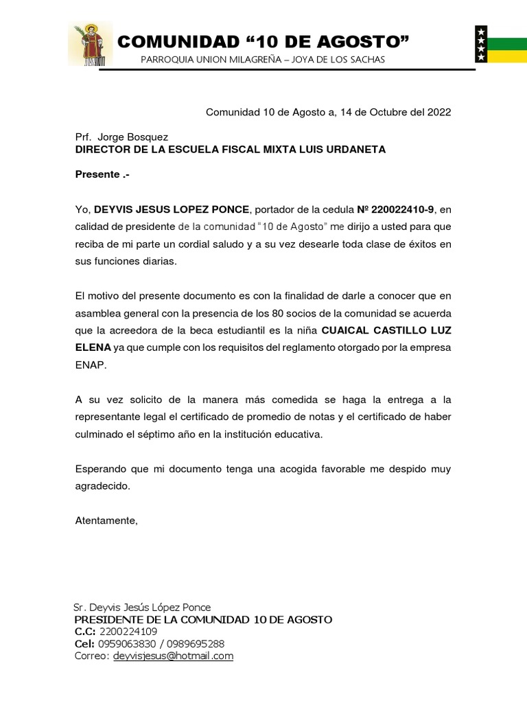 Solicitud Al Director | PDF