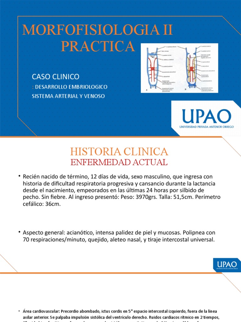 Caso Clinico Morfo II 2da Semana_coartacion de La Aorta | PDF