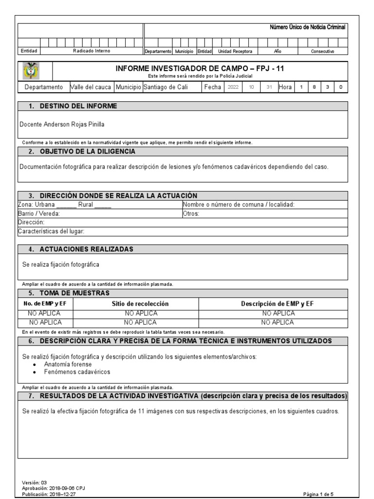 INFORME INVESTIGADOR DE CAMPO – FPJ - 11 | PDF