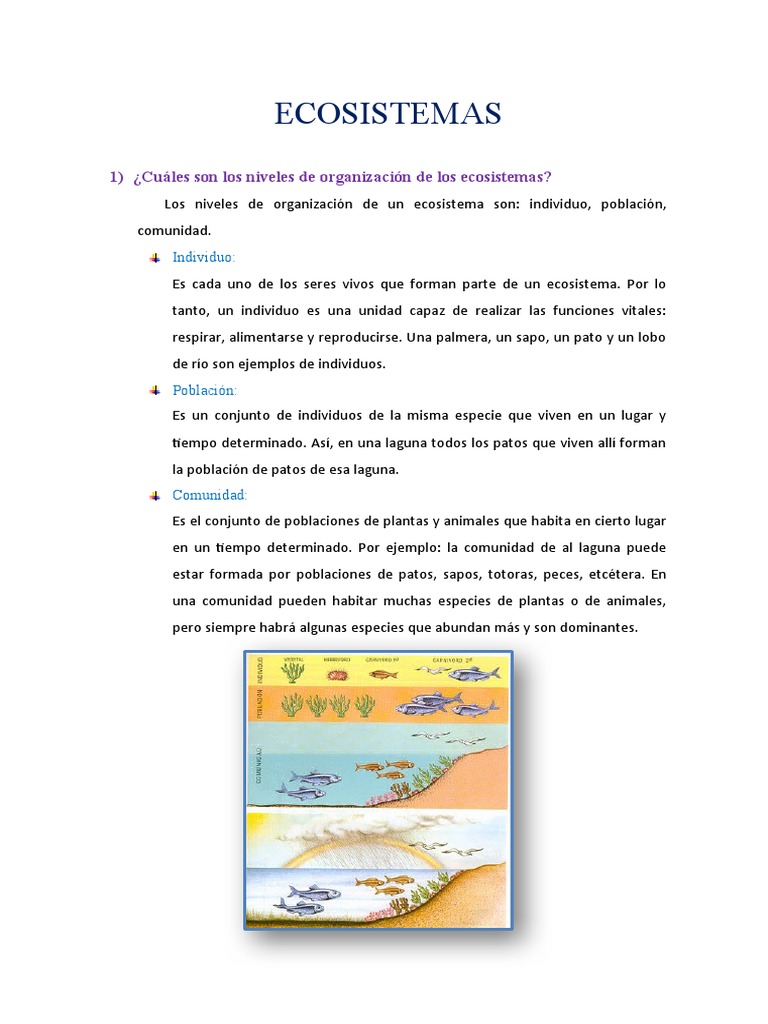 Los Ecosistemas 02 | PDF