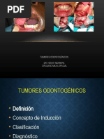 Histología de la Dentina y sus Estructuras | PDF | Dentina | La matriz ...