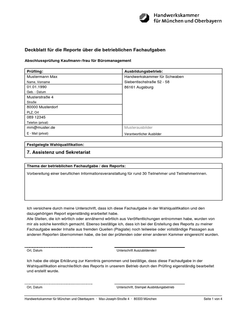 38033---2-P_Muster-Report | PDF