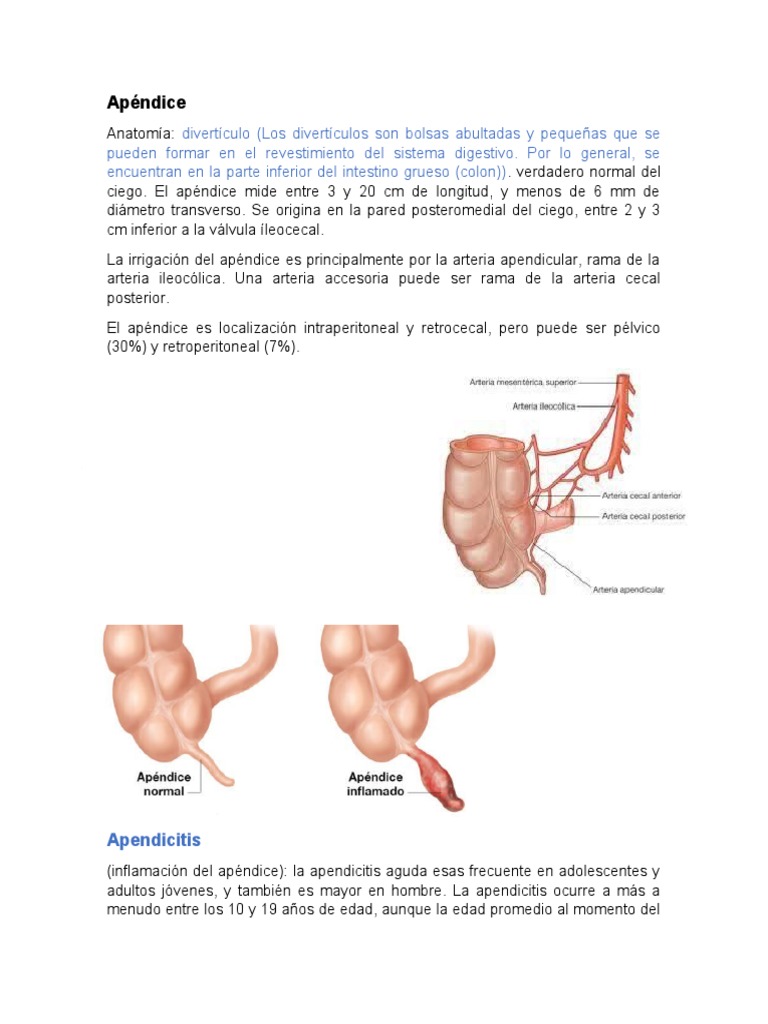 Apéndice | PDF | Ciencia y matemáticas