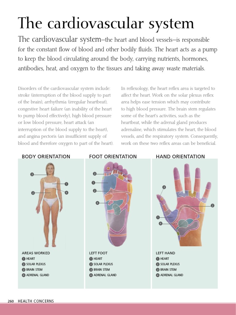 Parte 2 Complete Reflexology For Live (Inglés) Autor Barbara y Kevin ...