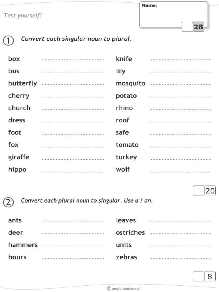 PLURALS AND COUNTABLE VS UNCOUNTABLE A2-B2 | PDF