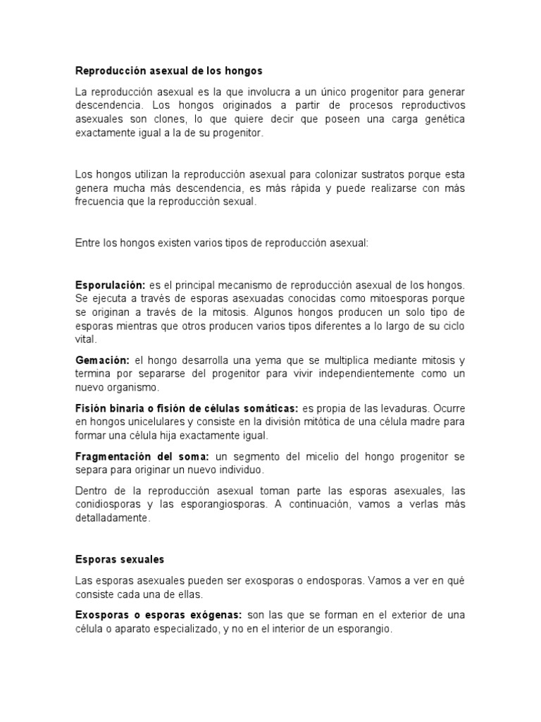 Reproducción Asexual de Los Hongos | PDF | Espora | Hongo