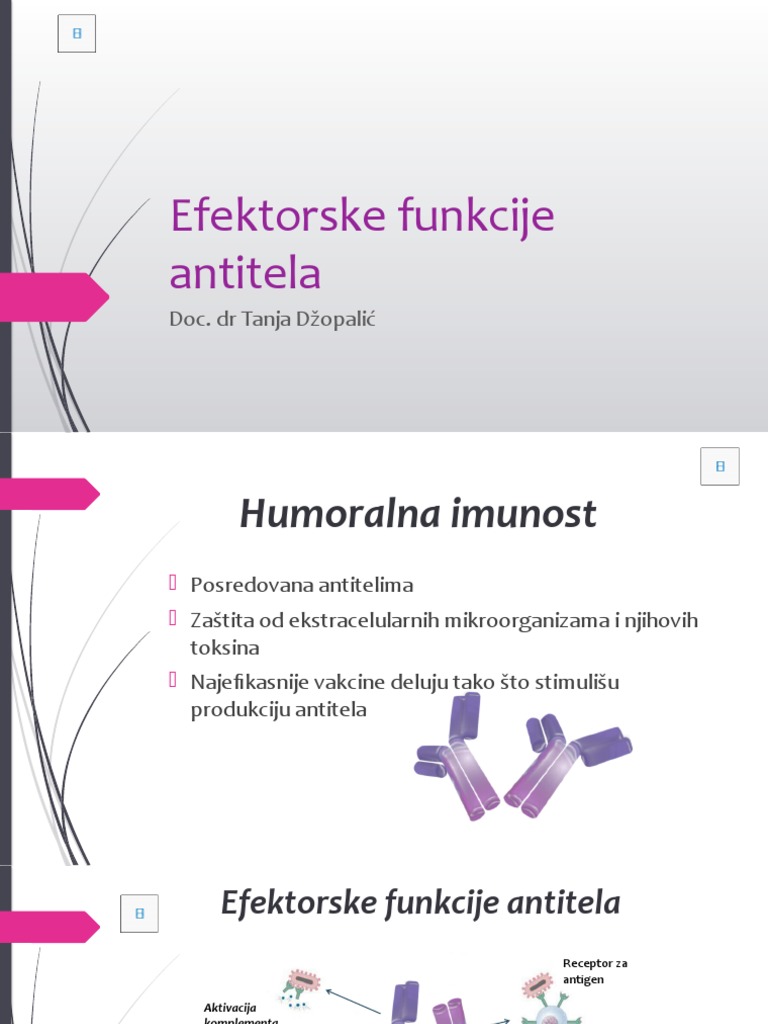 Efektorske Funkcije Antitela: Doc. DR Tanja Džopalić | PDF