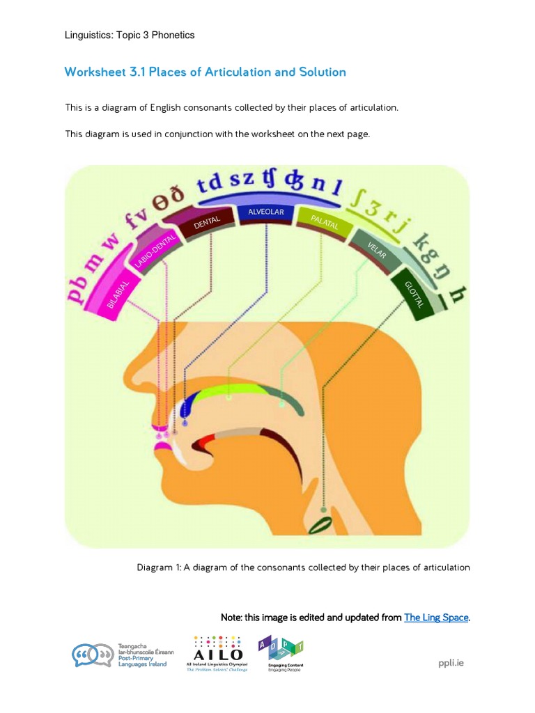 3.1 Place of Articulation Worksheet and Solution | PDF