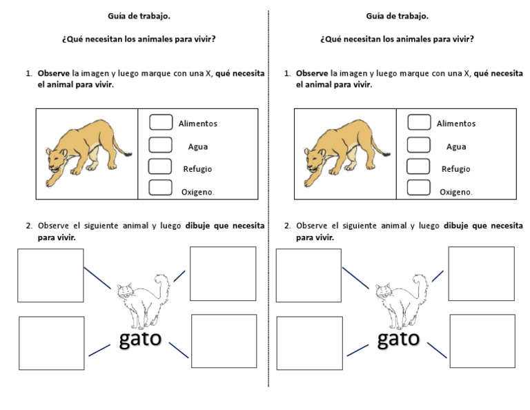 Que Necesitan Los Animales para Vivir | PDF