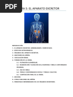 Anatomía y Fisiología Anorrectal | PDF | Recto | Sistema digestivo