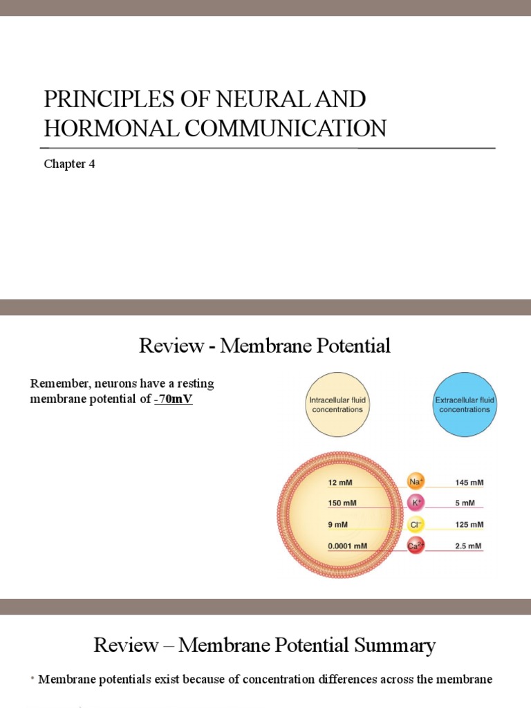 Principles of Neural and Hormonal Communication | PDF | Chemical ...