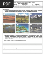 Relieve Amazónico para Quinto Grado de Primaria | PDF | Paisaje ...