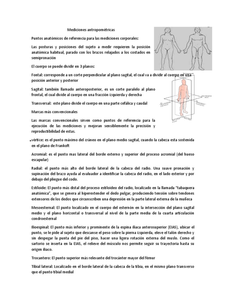 Mediciones Antropométricas | PDF | Mano | Abdomen
