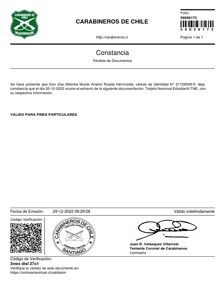 Constancia de Pérdida de TNE | PDF