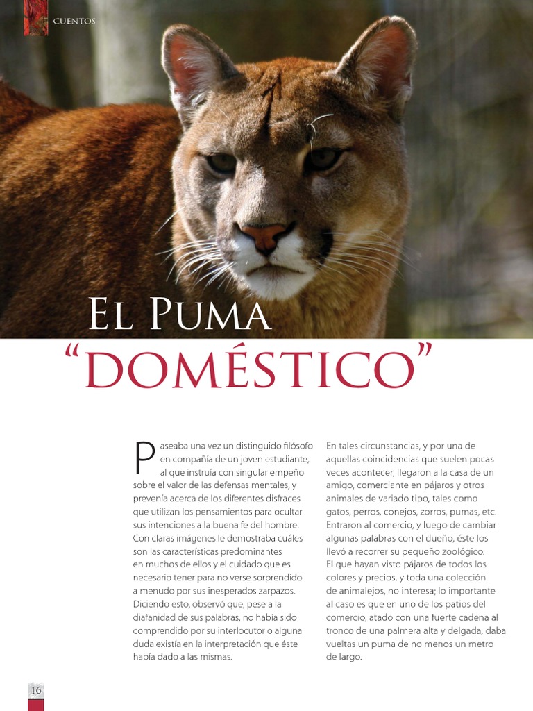 El puma doméstico y sus lecciones | PDF | Mente | Pensamiento
