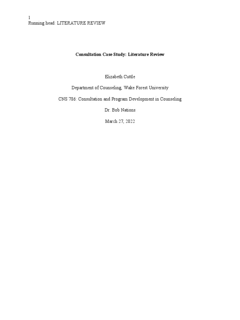 Literature Review - Consultation Case Study | PDF