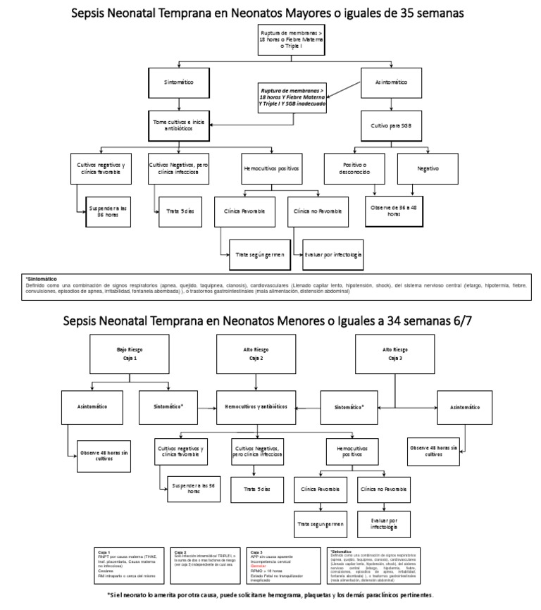 Algoritmo para Manejo de Sepsis Neonatal | PDF | Microbiología | Medicina CLINICA