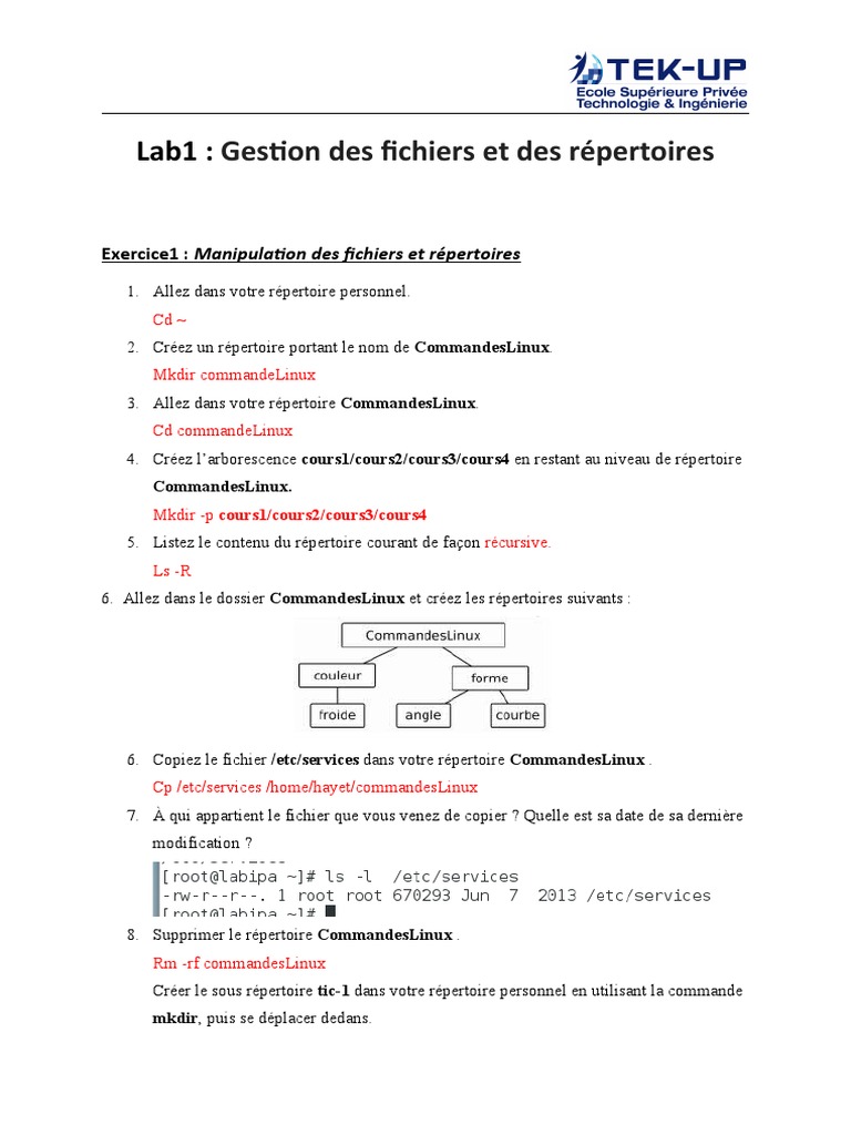 Lab1 Correction | PDF