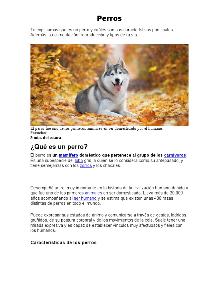 Los Perros | PDF | Ciencias sociales | Estudios de idiomas extranjeros