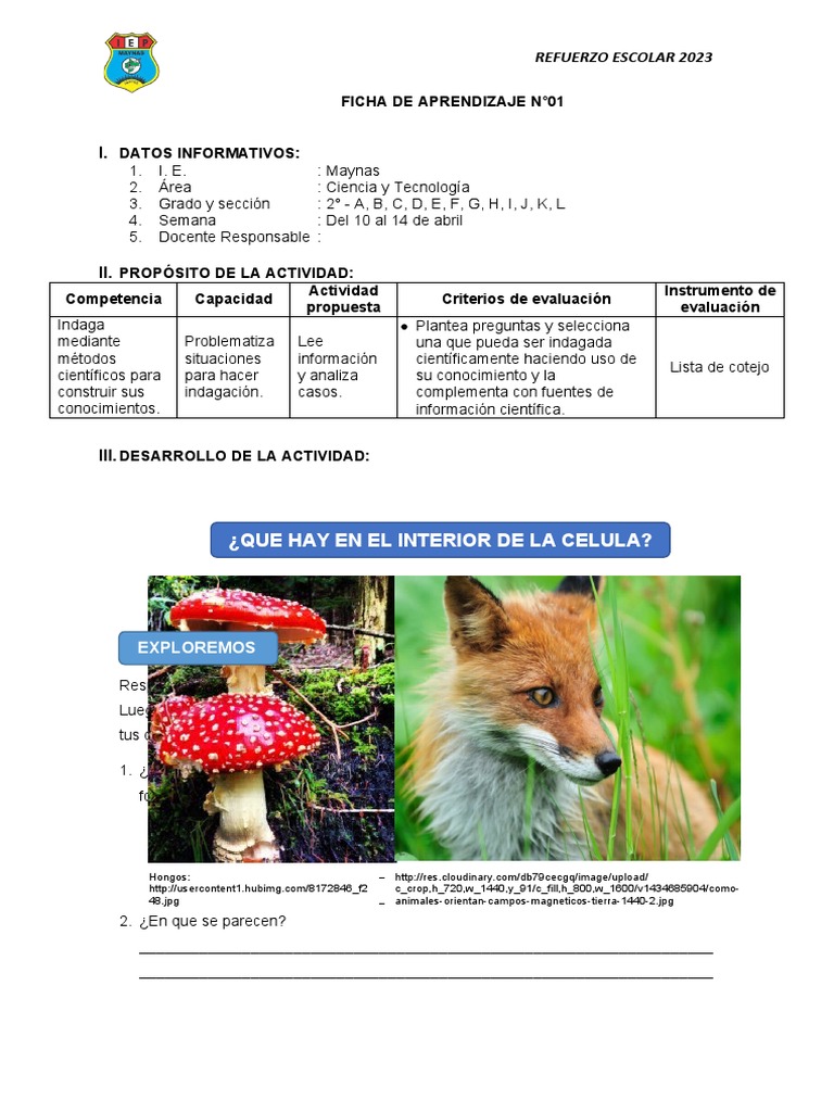 FICHA DE REFUERZO N°01-CyT-2do | PDF