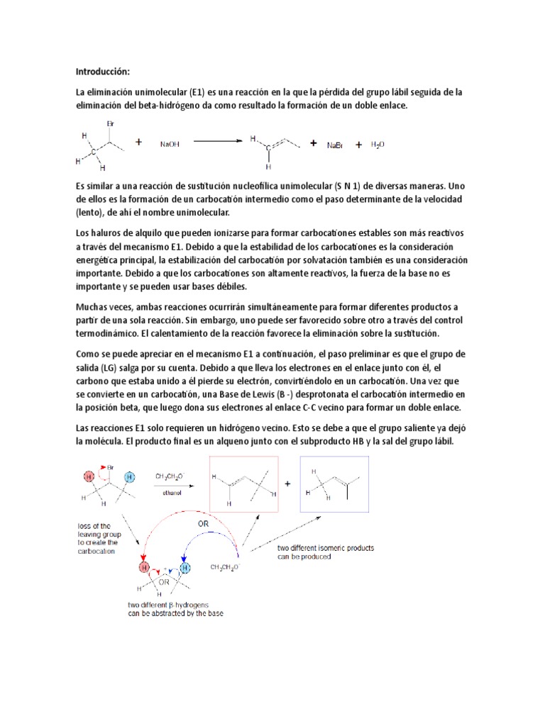 Informe P4 | PDF | Química Orgánica | Química