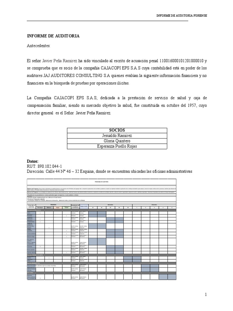 Ejemplo de Informe de Auditoria Forense 1 | PDF