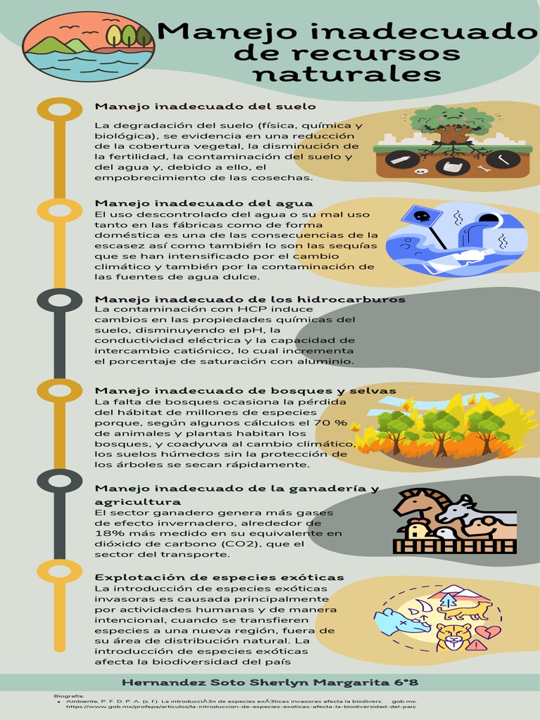 Act.3 Manejo Inadecuado de Los Recusros Naturales | PDF | Los bosques ...