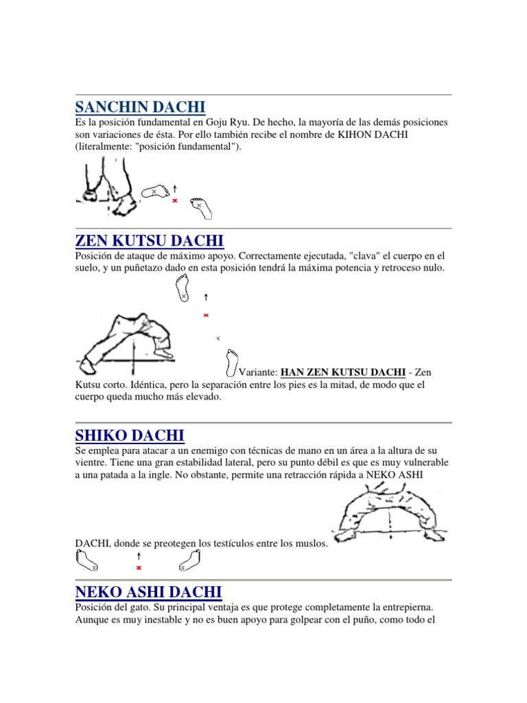 Posiciones de Karate | PDF