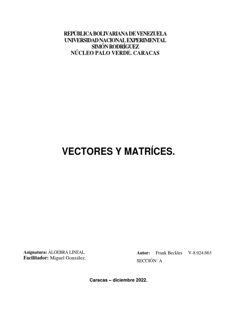 Trabajo de Vectores y Matrices | PDF