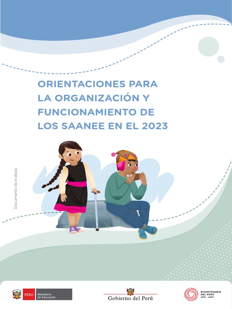 Cartilla Orientaciones para La Organización y Funciones de Los SAANEE en El 2023 | PDF