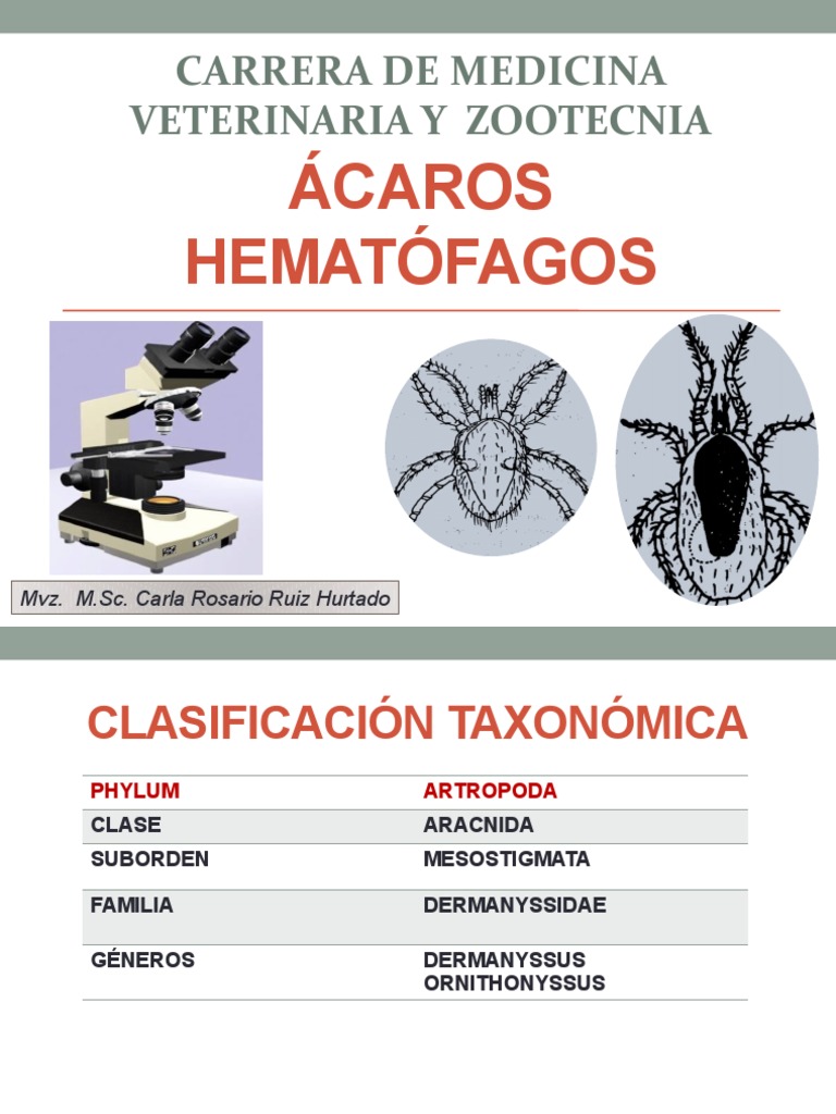 Ácaros Hematófagos - CV | PDF | Hogar, jardinería y bricolaje