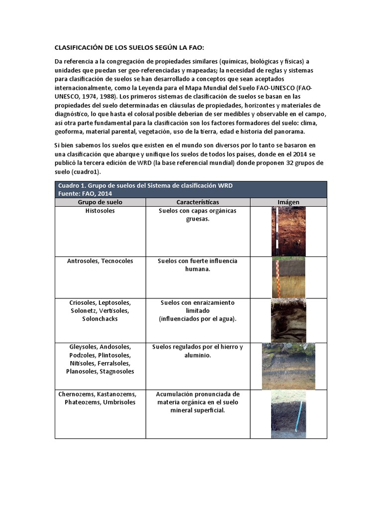 Clasificación de Los Suelos Según La Fao | Descargar gratis PDF | Suelo | Ciencias de la Tierra
