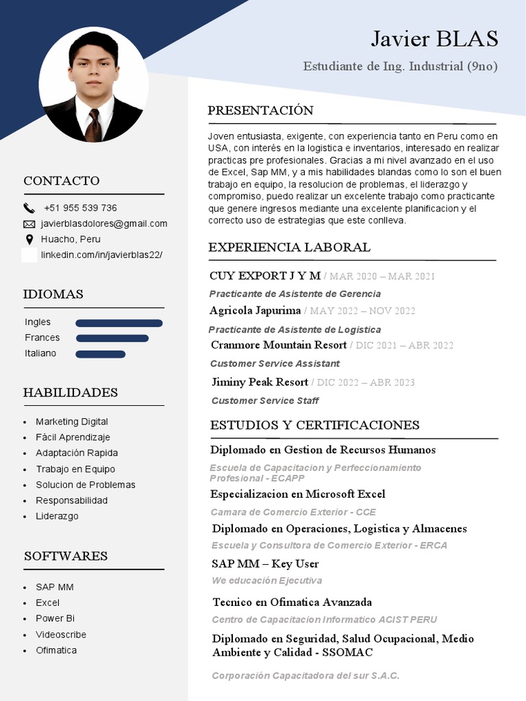 232 Curriculum Vitae Rellenar Editar | PDF